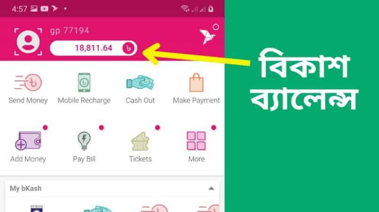 বিকাশে টাকা দেখার নিয়ম কি? Bkash account balance check | Digital Tuch
