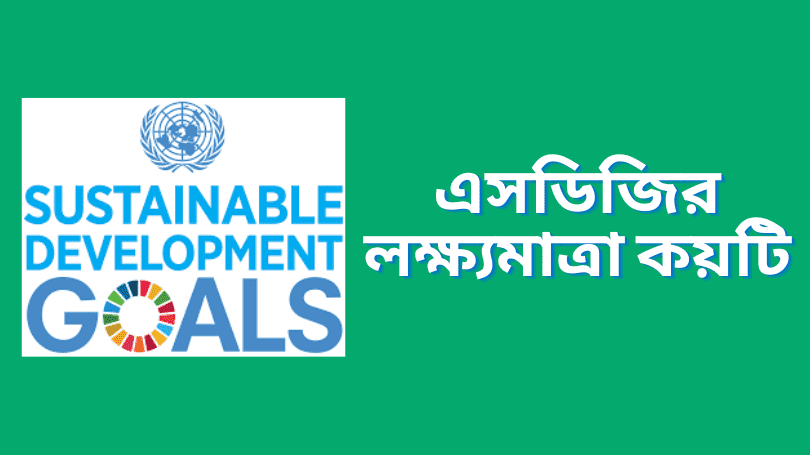 এস ডি জি ১৭ টি লক্ষ্য কি কি? SDG Goals In Bangla Bangladesh | Digital Tuch