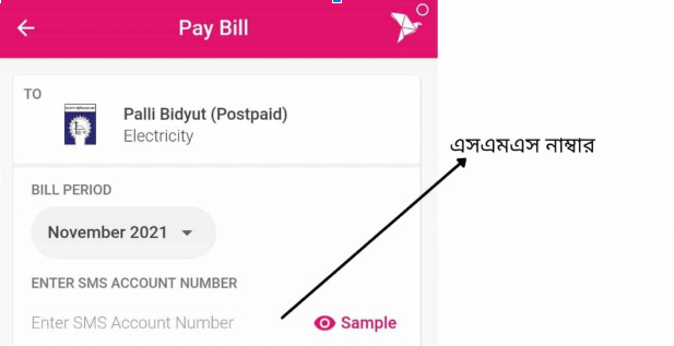 Palli Bidyut Bill Check Online | পল্লী বিদ্যুৎ বিল দেখার নিয়ম ...