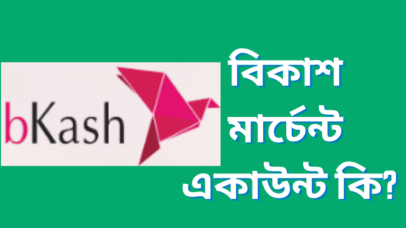 Bkash Merchant Reporting Portal | বিকাশ মার্চেন্ট কি ও ব্যাবহার ...